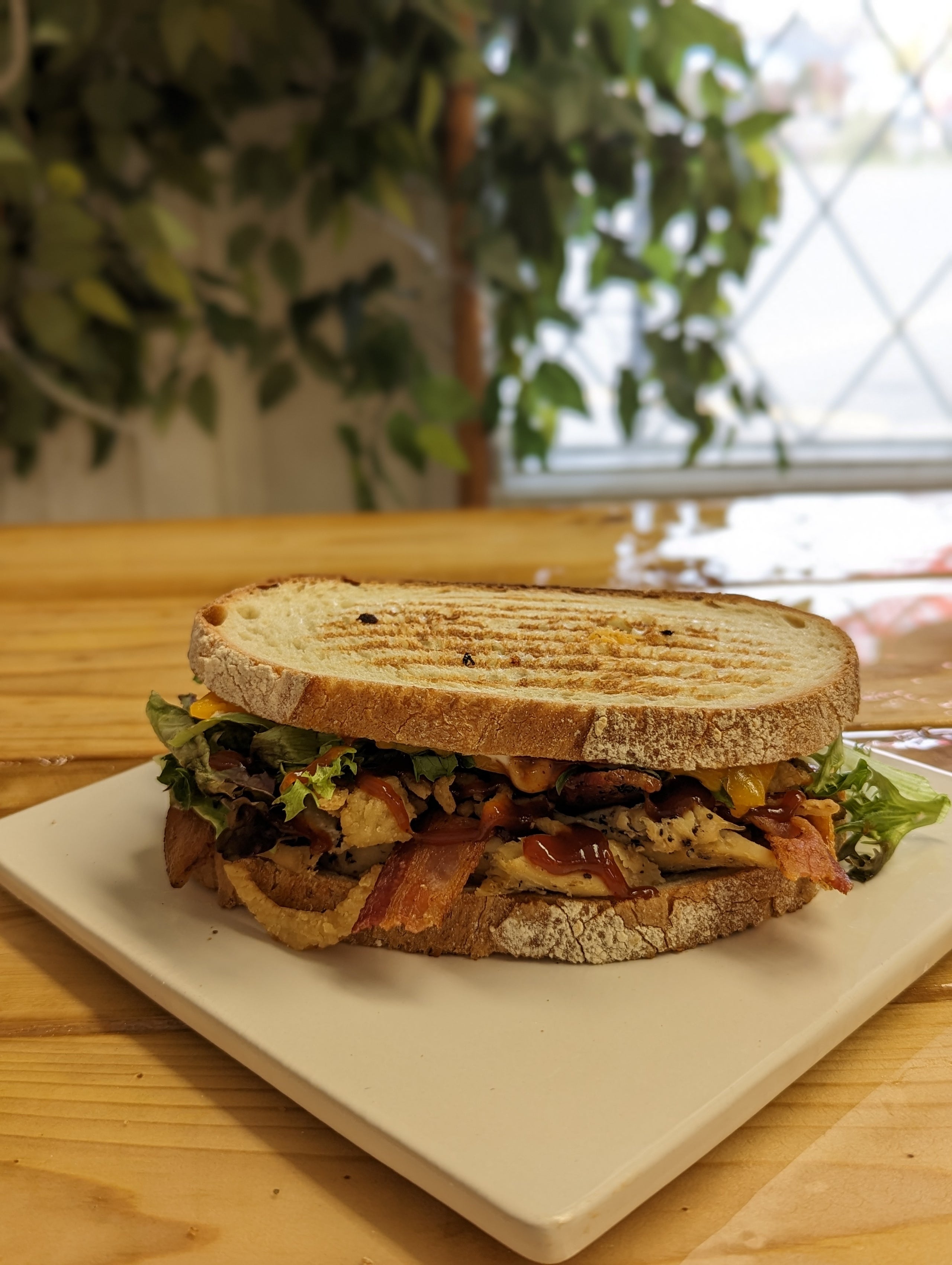 BBQ Panini | Fiddle's Lunch Box